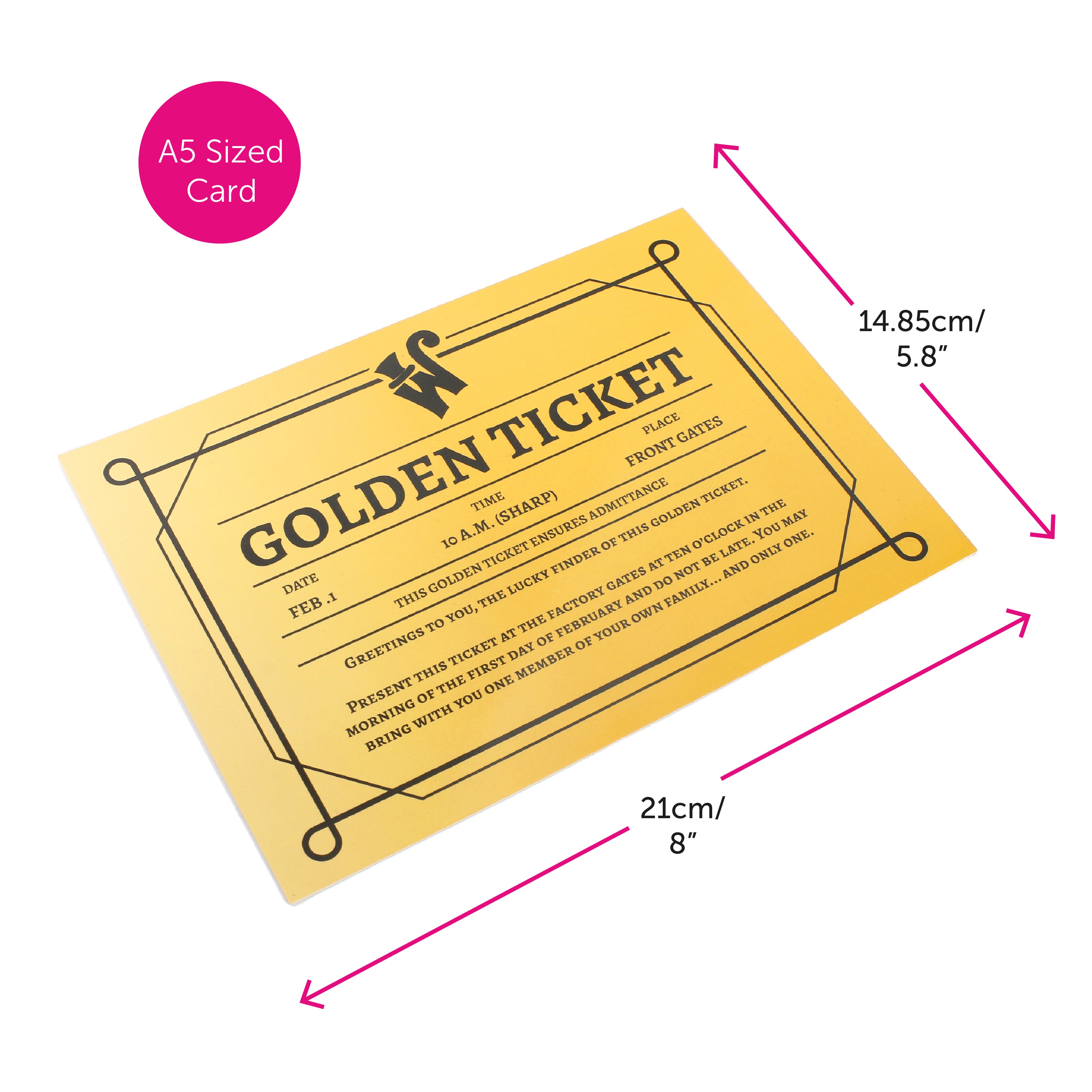 Kids Blue Golden Ticket Winner Set with Ticket | I Love Fancy Dress